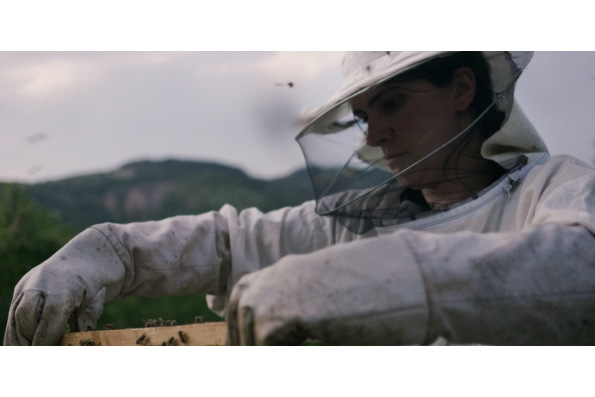 Hive :: Zeitgeist Films
